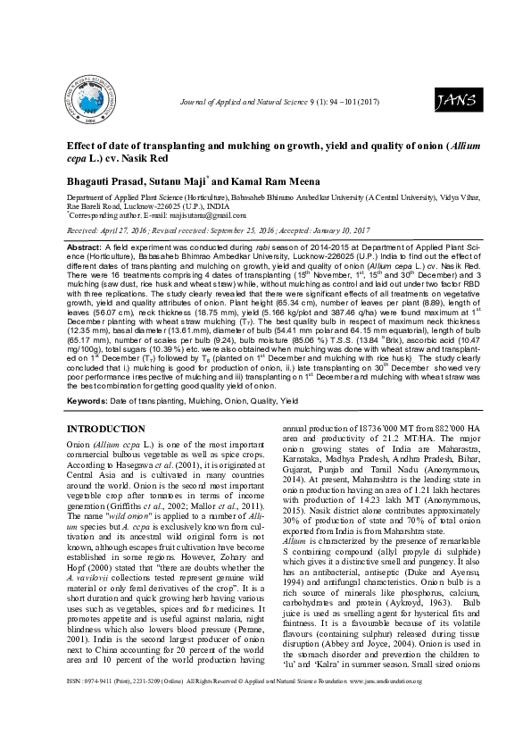 Pdf Effect Of Date Of Transplanting And Mulching On Growth Yield And