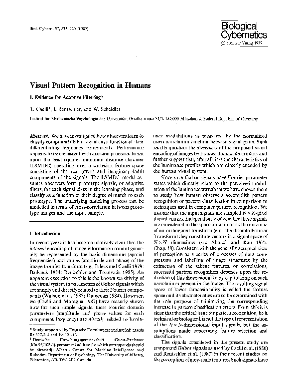 (PDF) Visual pattern recognition in humans