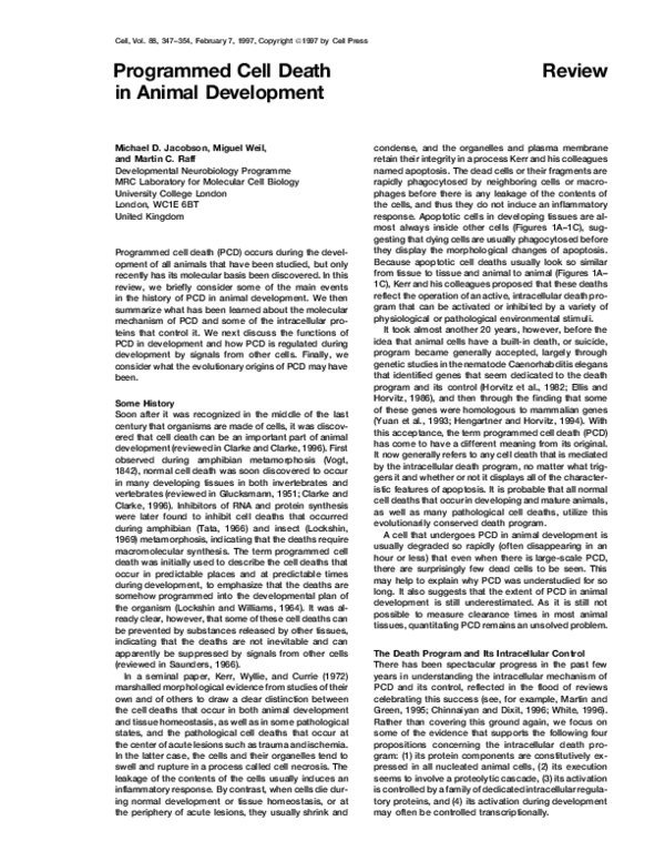 (PDF) Molecular Mechanisms of Apoptosis in Development