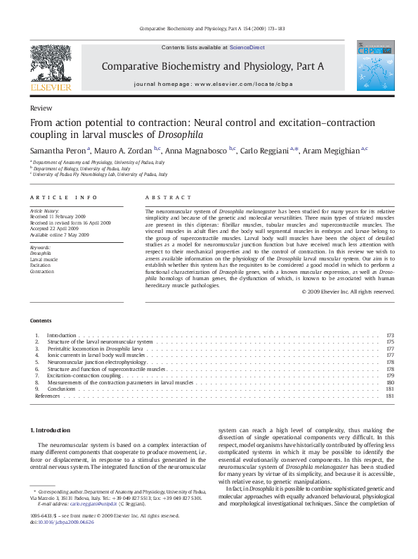 (PDF) From action potential to contraction: Neural control and ...
