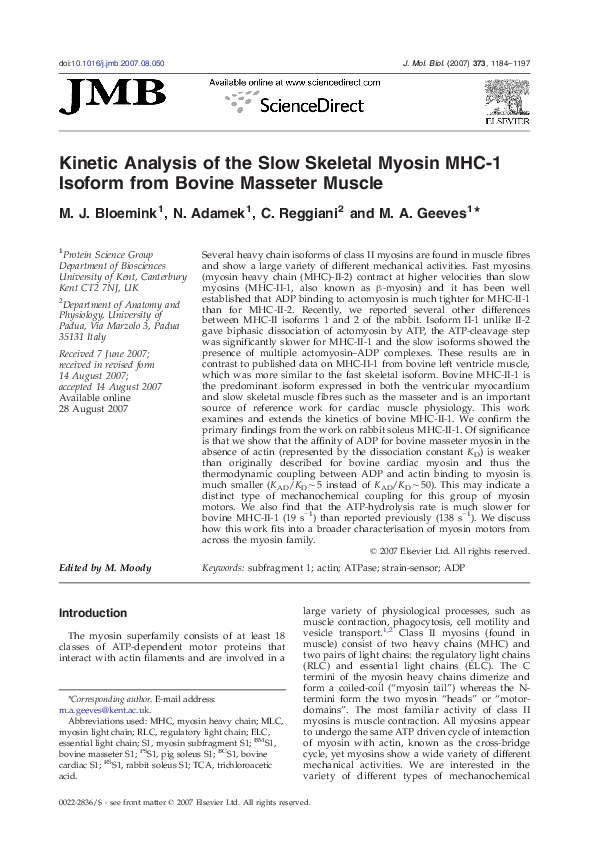 (PDF) Kinetic Analysis of the Slow Skeletal Myosin MHC-1 Isoform from ...