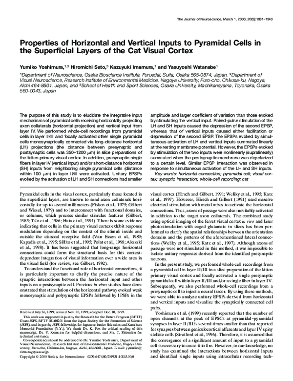 (PDF) Properties of horizontal and vertical inputs to pyramidal cells in the superficial layers ...