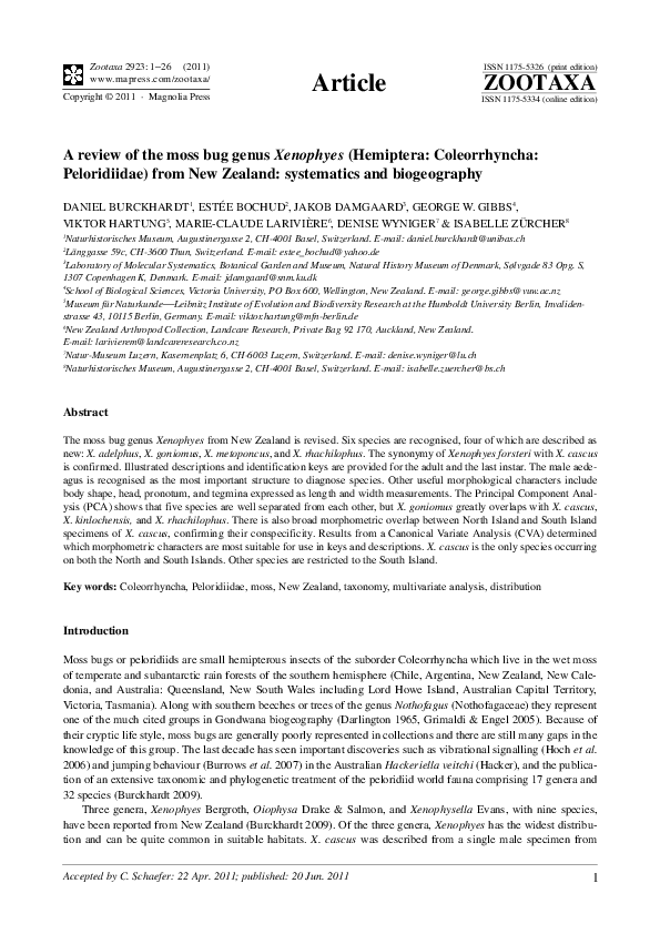 (PDF) A review of the moss bug genus Xenophyes (Hemiptera ...