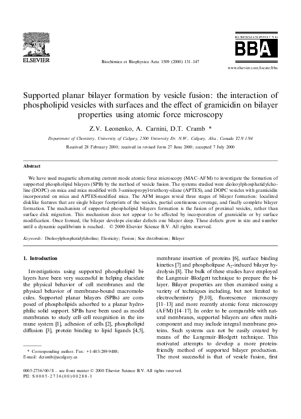 (PDF) Supported planar bilayer formation by vesicle fusion: the ...