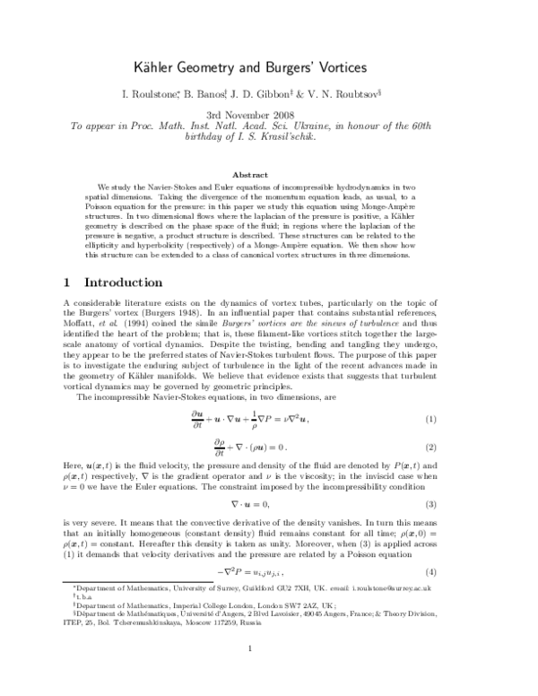 (PDF) Kahler geometry and Burgers' vortices