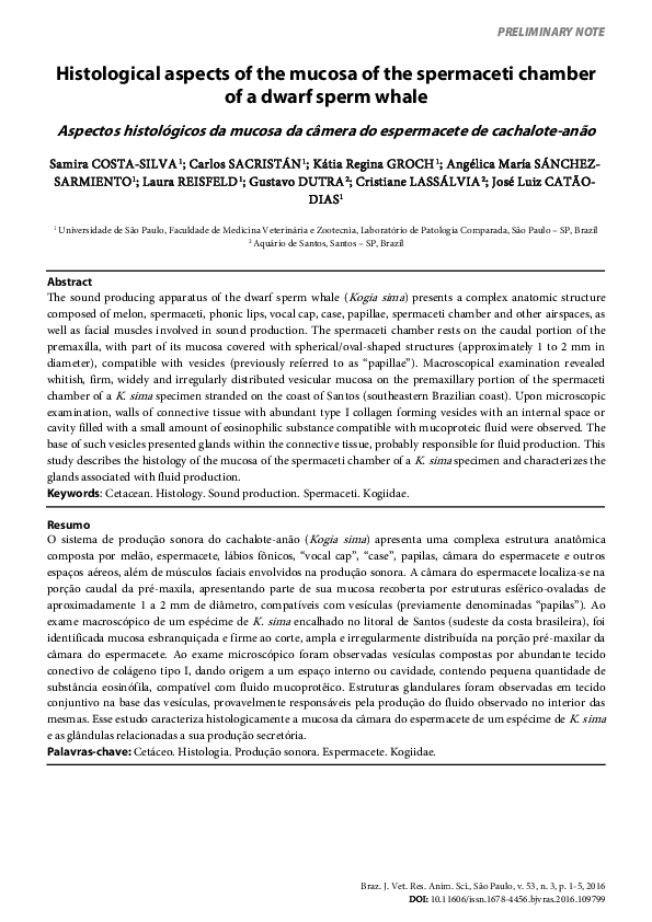 (PDF) Histological aspects of the mucosa of the spermaceti chamber of a ...