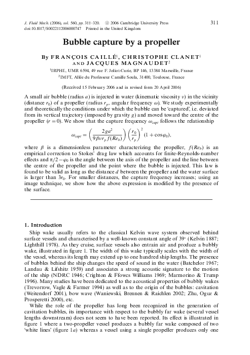 (PDF) Bubble capture by a propeller