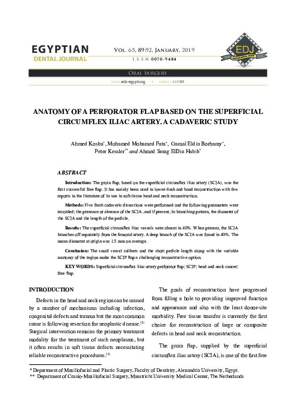 (PDF) Anatomy of a perforator flap based on the superficial circumflex ...