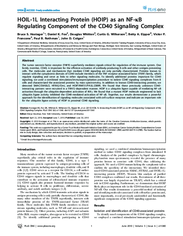 (PDF) HOIL-1L Interacting Protein (HOIP) as an NF-kappaB Regulating ...