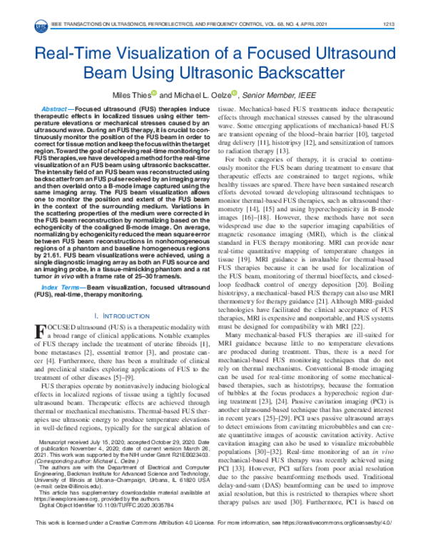 (PDF) Real-Time Visualization of a Focused Ultrasound Beam Using ...