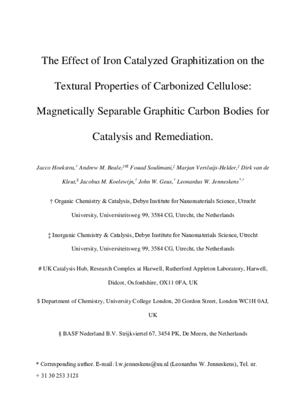 (PDF) The effect of iron catalyzed graphitization on the textural ...