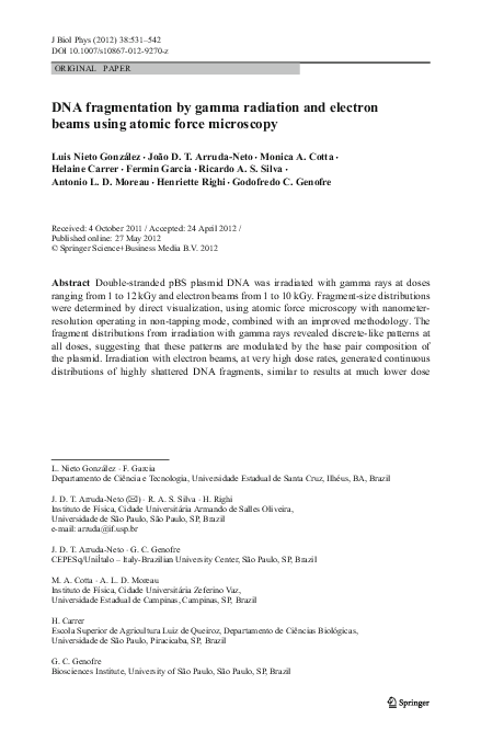 (PDF) DNA fragmentation by gamma radiation and electron beams using ...