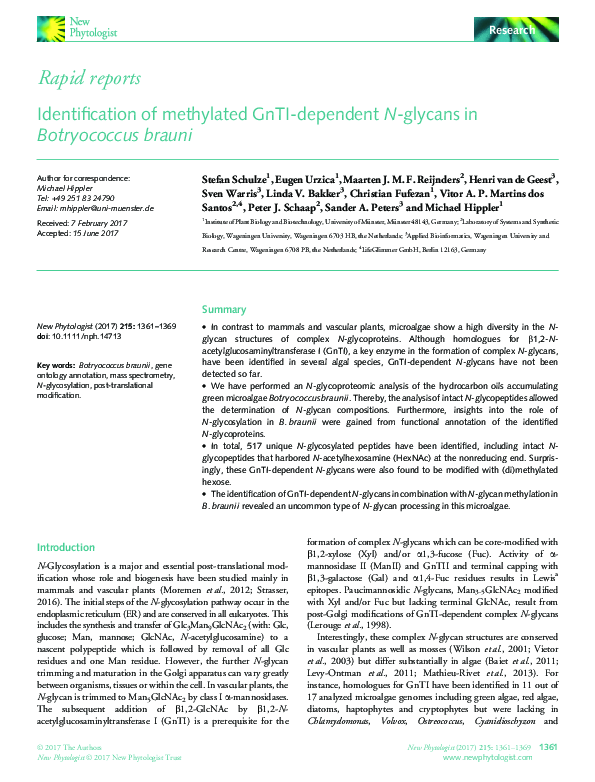 (PDF) Identification of methylated GnTI-dependent N -glycans in ...