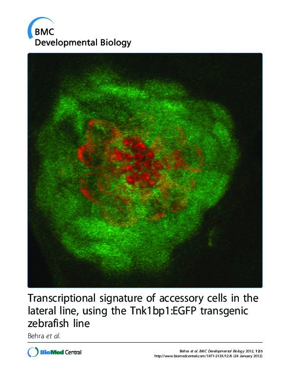 (PDF) Transcriptional signature of accessory cells in the lateral line ...