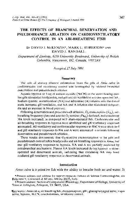 (PDF) The effects of branchial denervation and pseudobranch ablation on ...