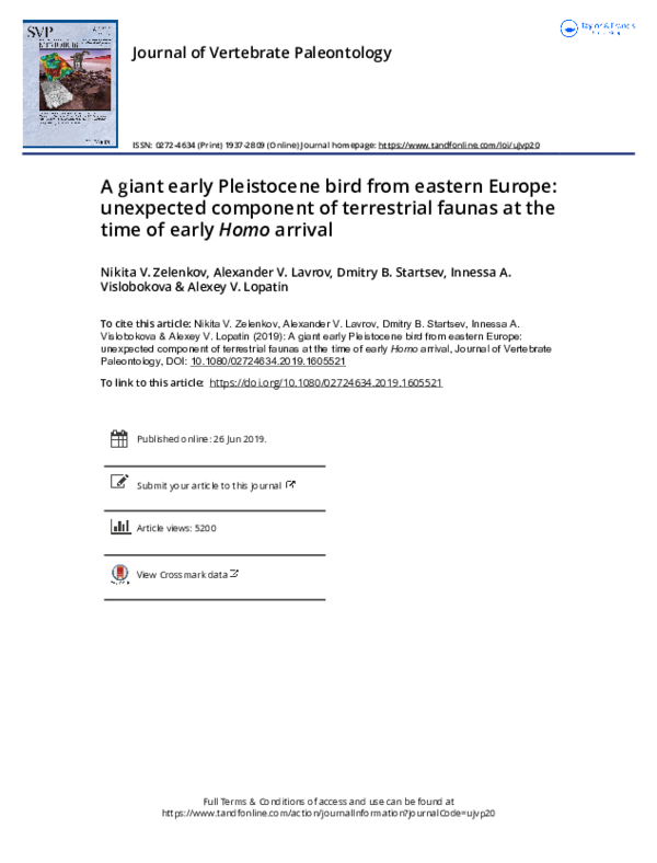 (PDF) A giant early Pleistocene bird from eastern Europe: unexpected ...