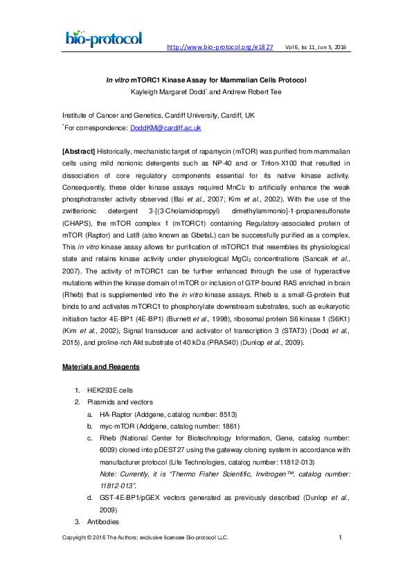 (PDF) In vitro mTORC1 Kinase Assay for Mammalian Cells Protocol
