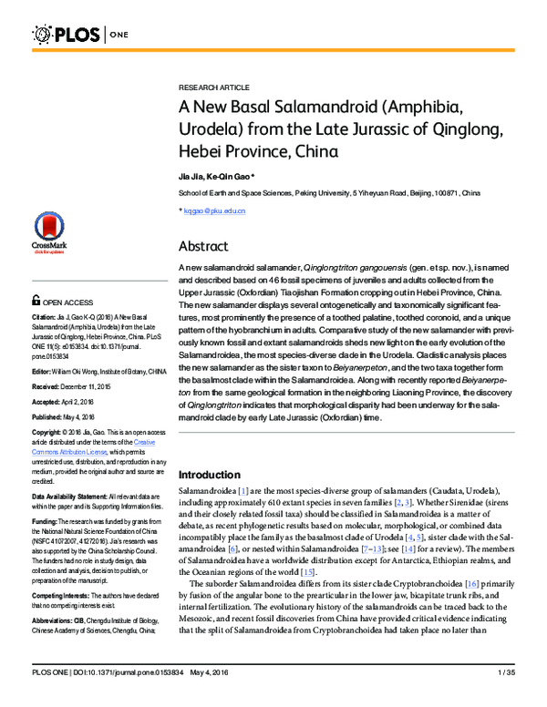 (PDF) A New Basal Salamandroid (Amphibia, Urodela) from the Late ...