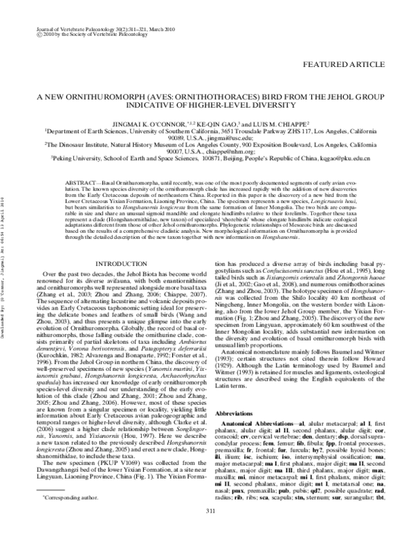 (PDF) A new ornithuromorph (Aves: Ornithothoraces) bird from the Jehol ...