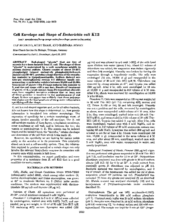 (PDF) Cell Envelope and Shape of Escherichia coli K12
