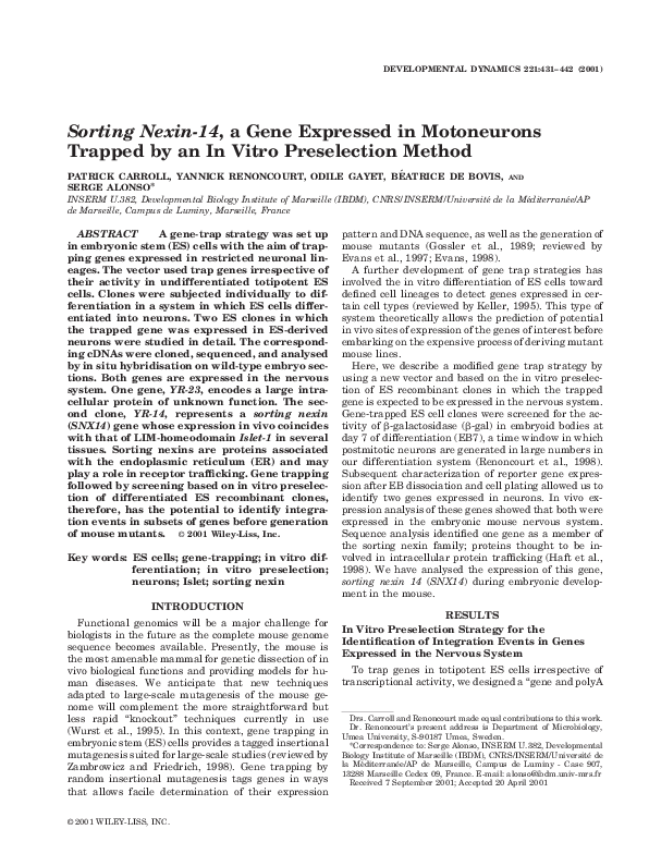 (PDF) Sorting nexin-14, a gene expressed in motoneurons trapped by an ...