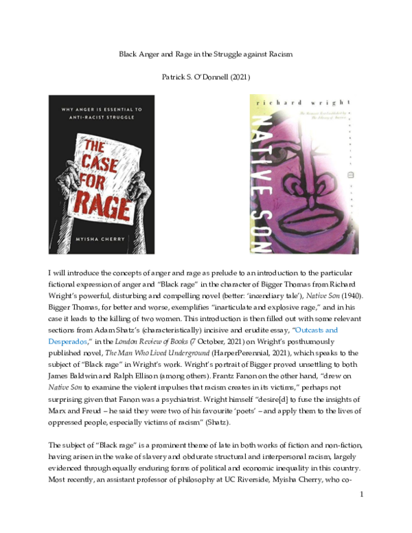 (PDF) Black Anger and Rage in the Struggle against Racism