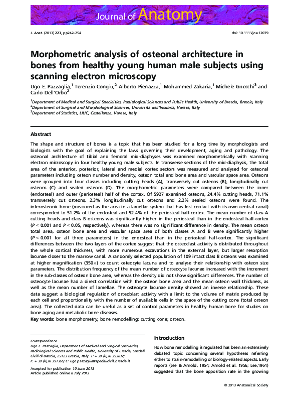 (PDF) Morphometric analysis of osteonal architecture in bones from ...