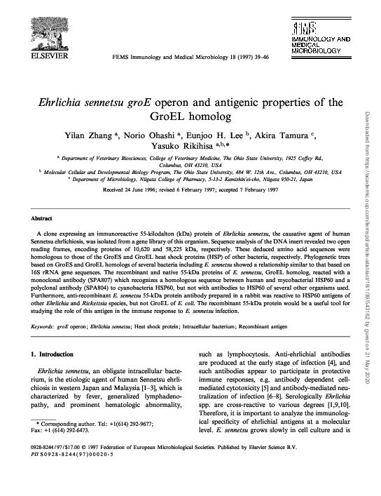 (PDF) Ehrlichia sennetsu groE operon and antigenic properties of the GroEL homolog