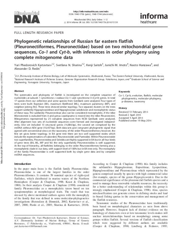(PDF) Phylogenetic relationships of Russian far eastern flatfish (Pleuronectiformes ...