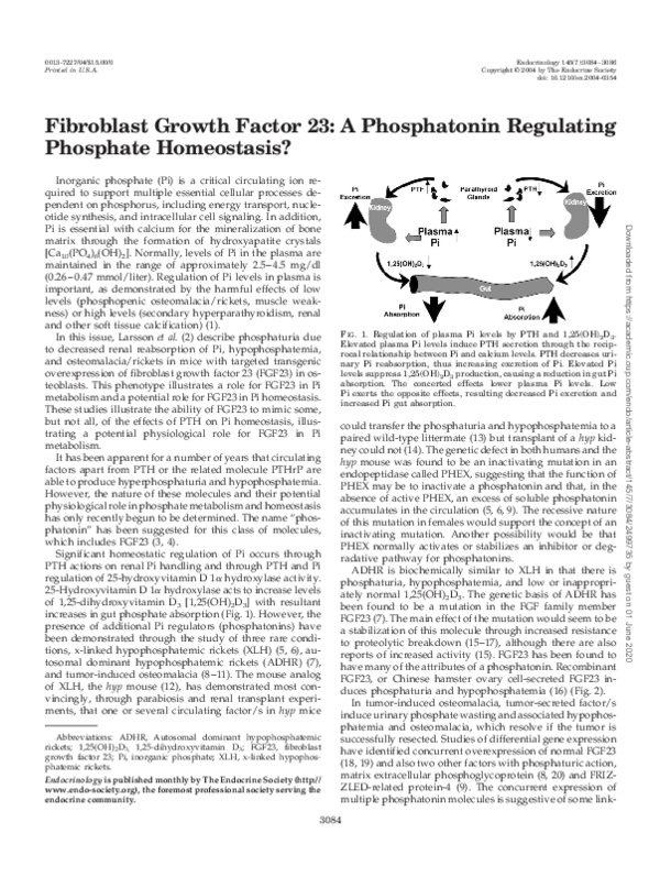 (PDF) Fibroblast Growth Factor 23: A Phosphatonin Regulating Phosphate ...