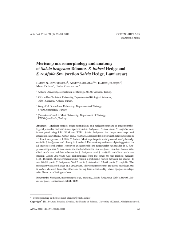 (PDF) Mericarp micromorphology and anatomy of Salvia hedgeana Dönmez, S ...