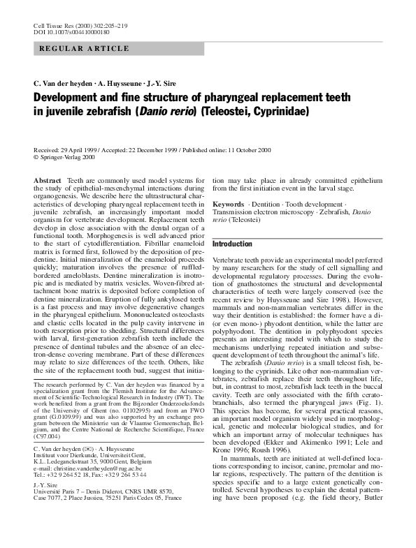 (PDF) Development and fine structure of pharyngeal replacement teeth in ...
