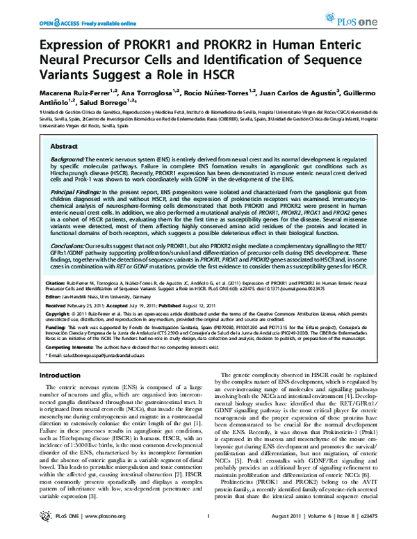 (PDF) Expression of PROKR1 and PROKR2 in Human Enteric Neural Precursor ...
