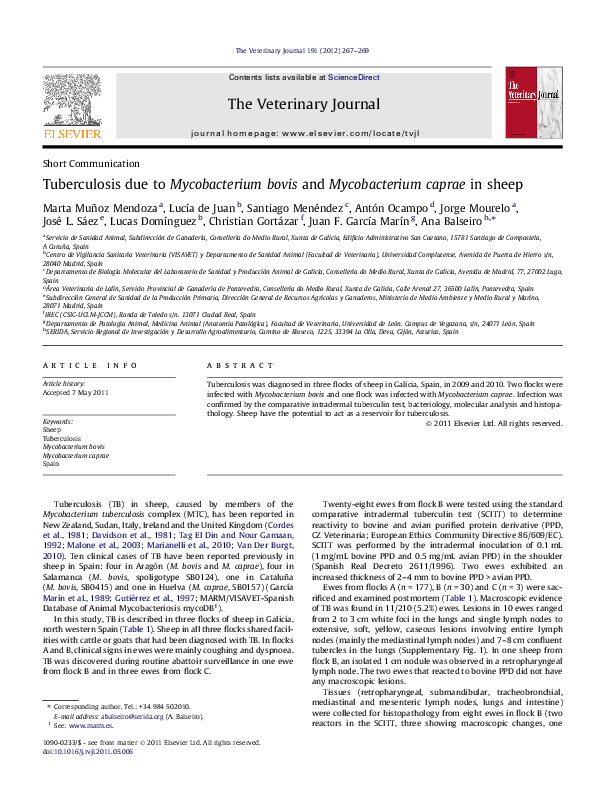 (PDF) Tuberculosis due to Mycobacterium bovis and Mycobacterium caprae ...