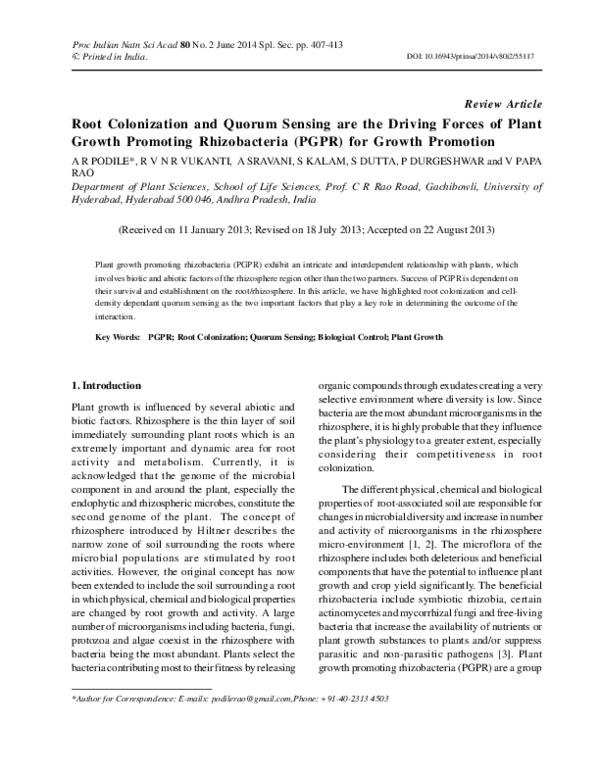 (PDF) Root Colonization and Quorum Sensing are the Driving forces of ...