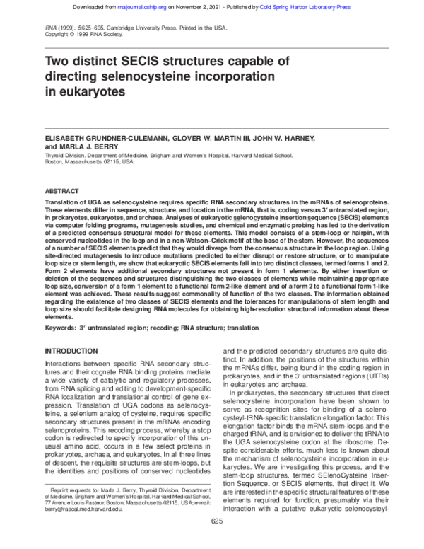 Pdf Two Distinct Secis Structures Capable Of Directing Selenocysteine Incorporation In Eukaryotes