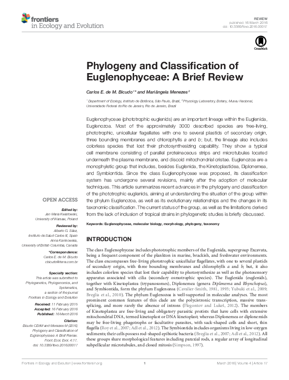 (PDF) Phylogeny and Classification of Euglenophyceae: A Brief Review