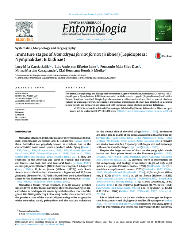 (PDF) Immature stages of Hamadryas fornax fornax (Hübner) (Lepidoptera: Nymphalidae: Biblidinae ...