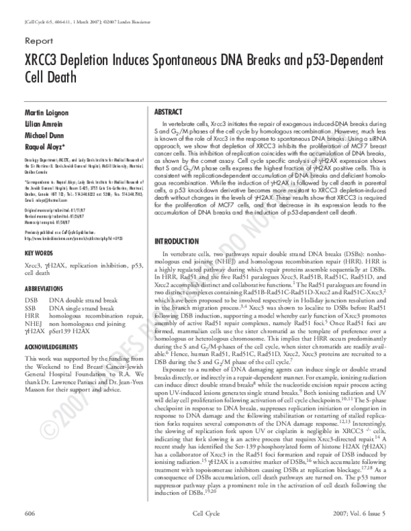 (PDF) XRCC3 Depletion Induces Spontaneous DNA Breaks and p53-Dependent ...