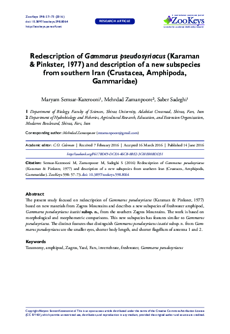 (PDF) Redescription of Gammarus pseudosyriacus (Karaman & Pinkster ...