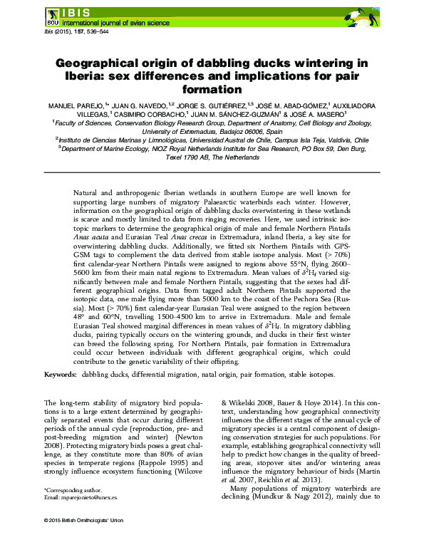 (PDF) Geographical origin of dabbling ducks wintering in Iberia: sex ...
