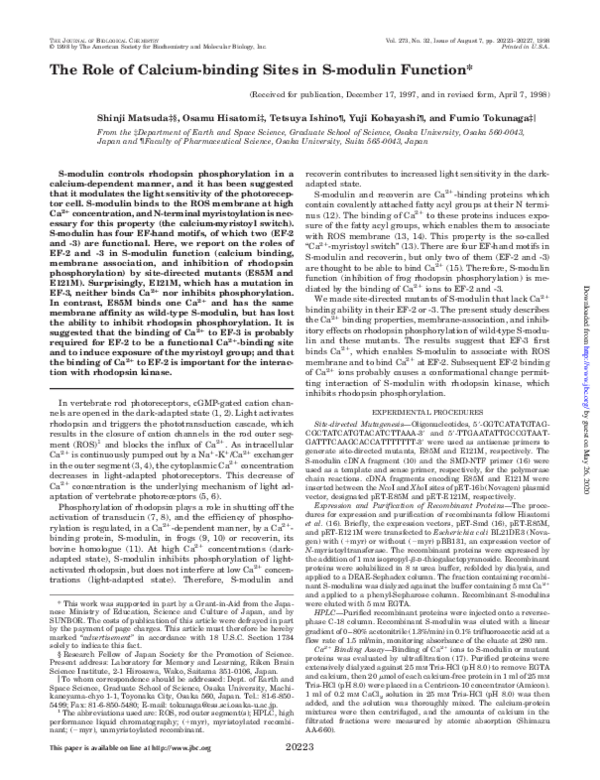 (PDF) The Role of Calcium-binding Sites in S-modulin Function