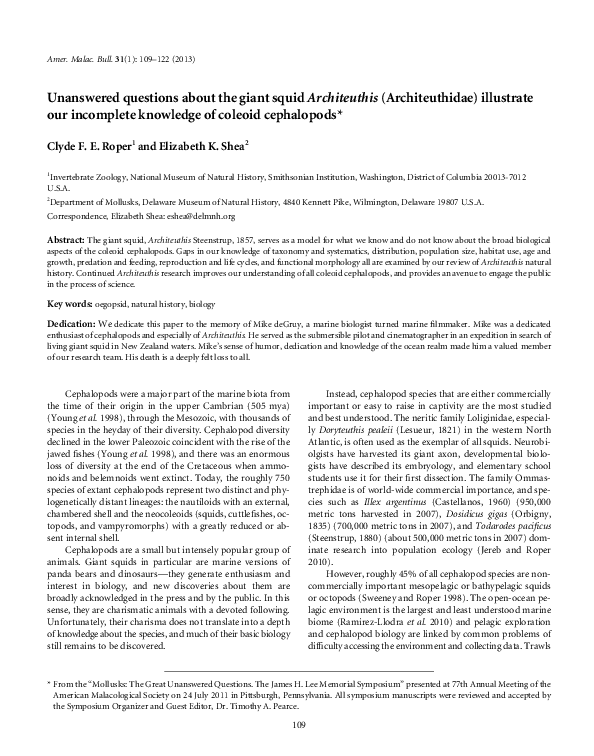 (PDF) Unanswered Questions About the Giant Squid Architeuthis ...
