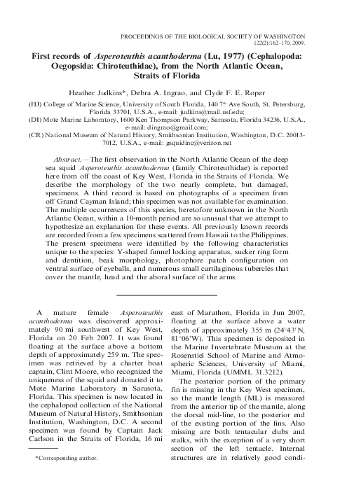(PDF) First records of Asperoteuthis acanthoderma (Lu, 1977 ...