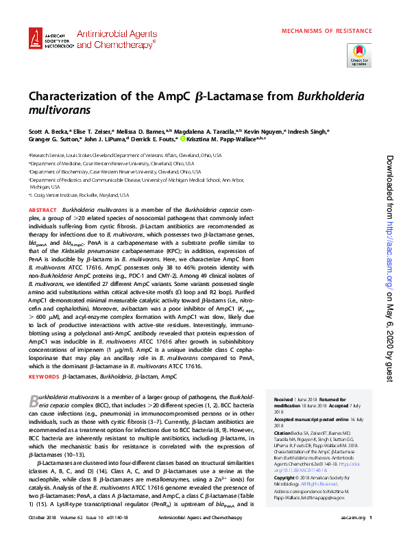 (PDF) Characterization of the AmpC β-Lactamase from Burkholderia ...