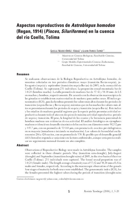 (PDF) Aspectos Reproductivos de Astroblepus Homodon (Regan, 1914)(Pices ...