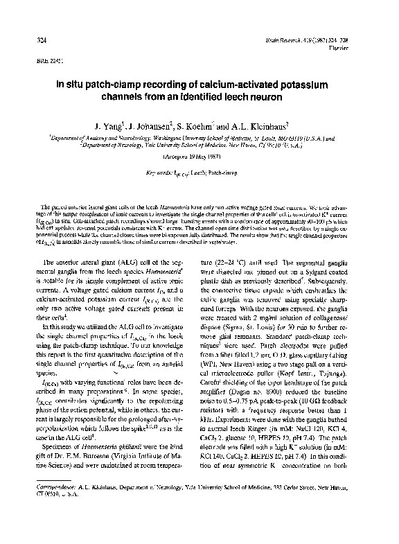 (PDF) In situ patch-clamp recording of calcium-activated potassium ...