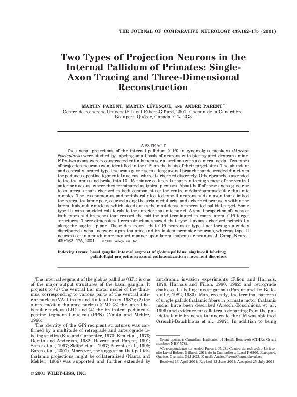 (PDF) Two types of projection neurons in the internal pallidum of ...