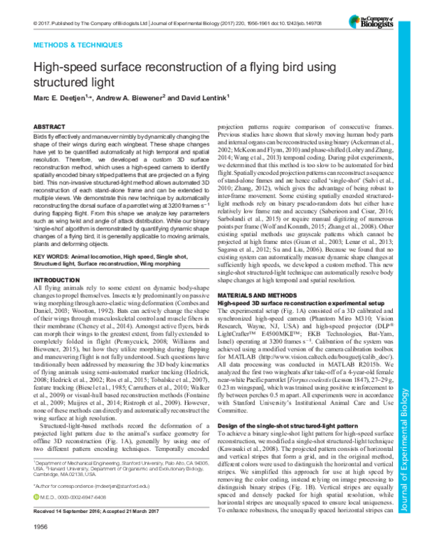 (PDF) High-speed surface reconstruction of a flying bird using structured light