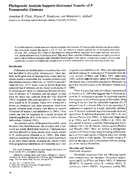 (PDF) Phylogenetic analysis supports horizontal transfer of P transposable elements